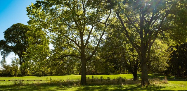 Golf Outings, Events in Chicago Illinois | Indian Boundary Golf Course